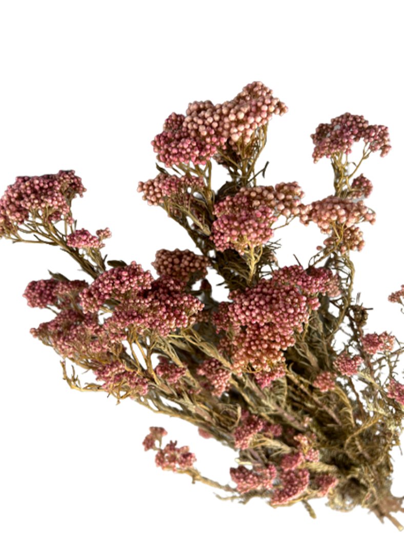 Fleur de Riz Stabilisée